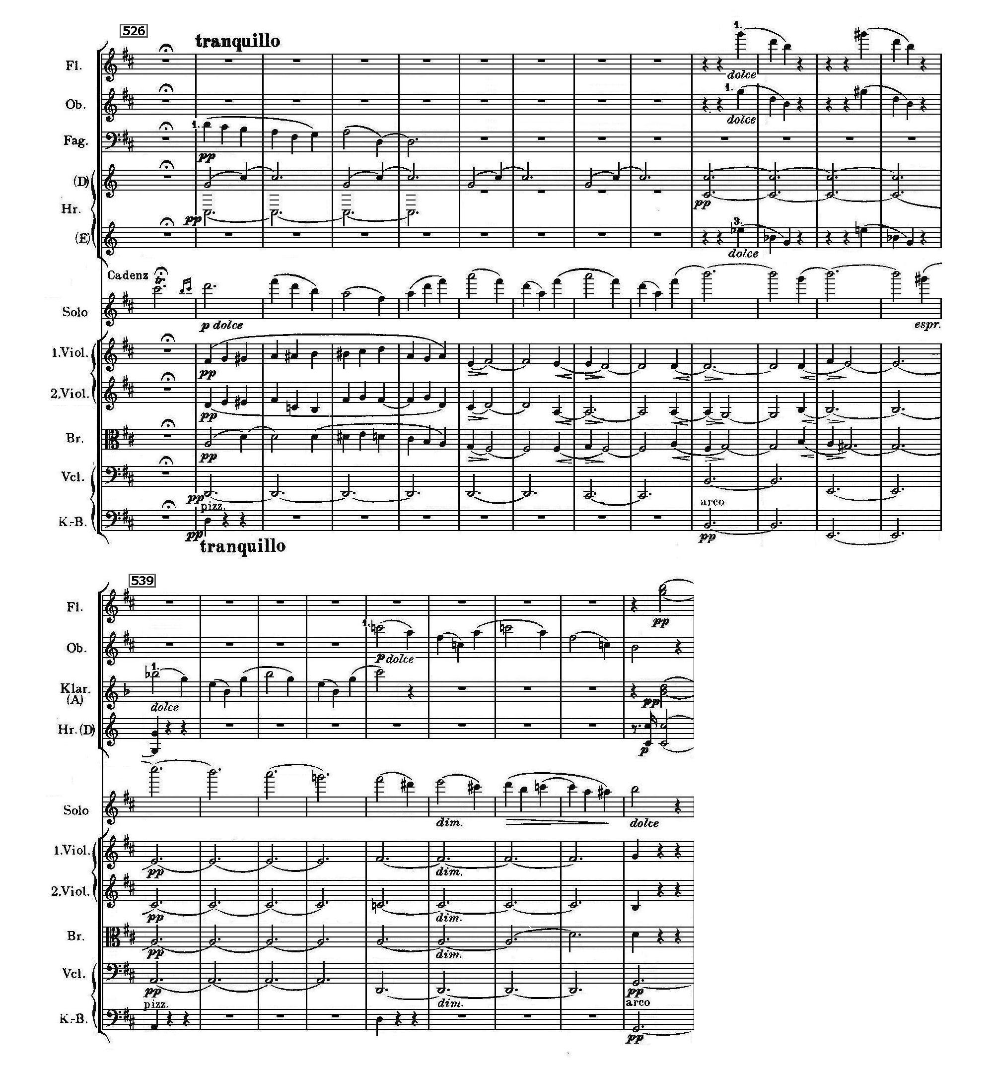 お楽しみは最初に？ それとも最後に？―メンデルスゾーンとブラームスのヴァイオリン協奏曲 | 音楽の深い森へ